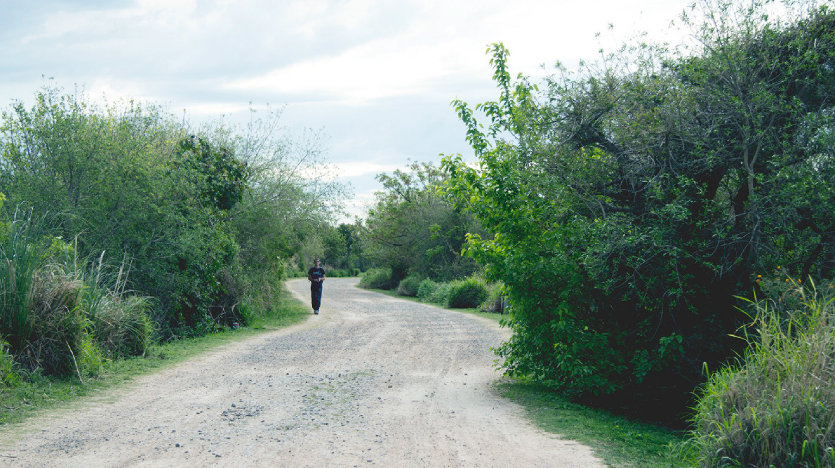 Proeza de la naturaleza - La Reserva UX Project | Matías Solís | Diseño ...